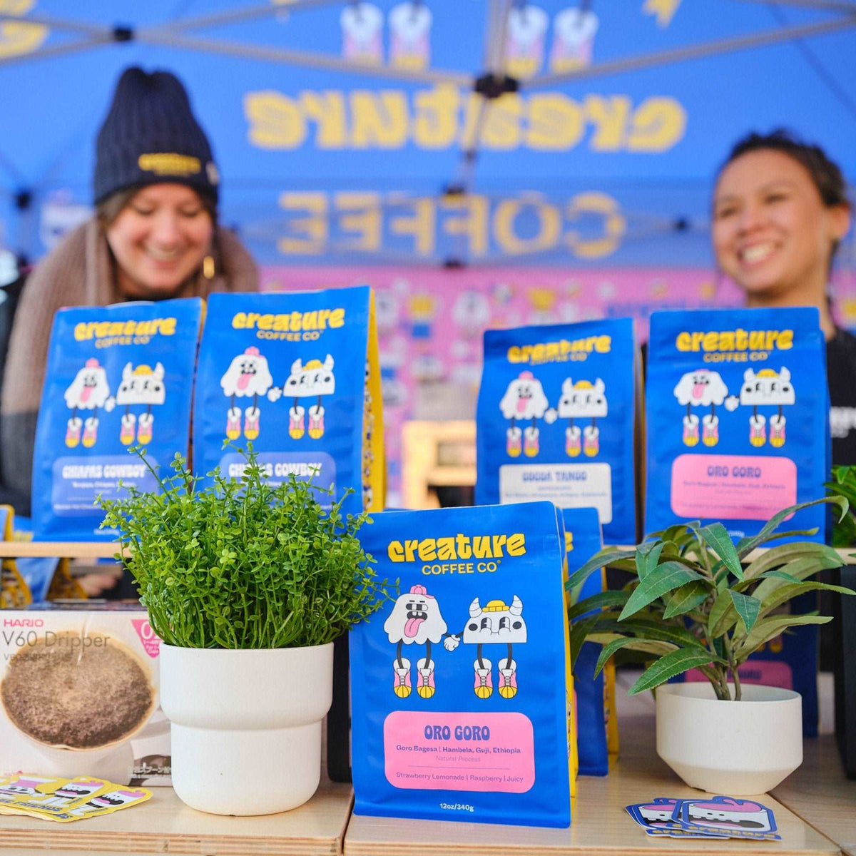 6 MONTH PLAYFUL SUBSCRIPTION | Creature Coffee Co